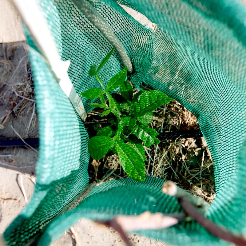 Reforestation & Ecosystem Restoration — EcoSwell