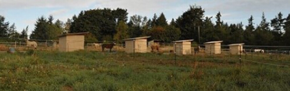The Red Horse Farm