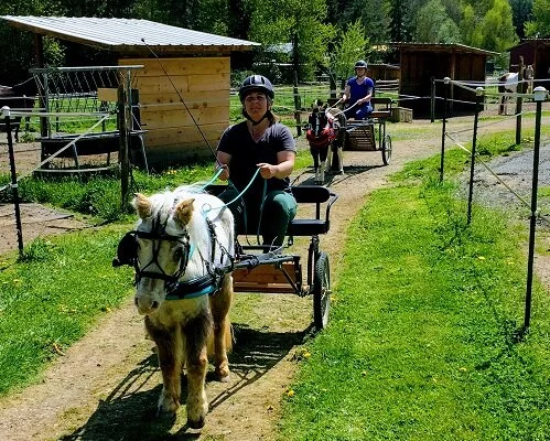 The Red Horse Farm