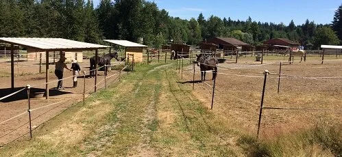 The Red Horse Farm