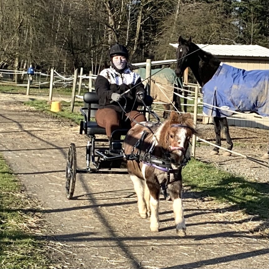 The Red Horse Farm