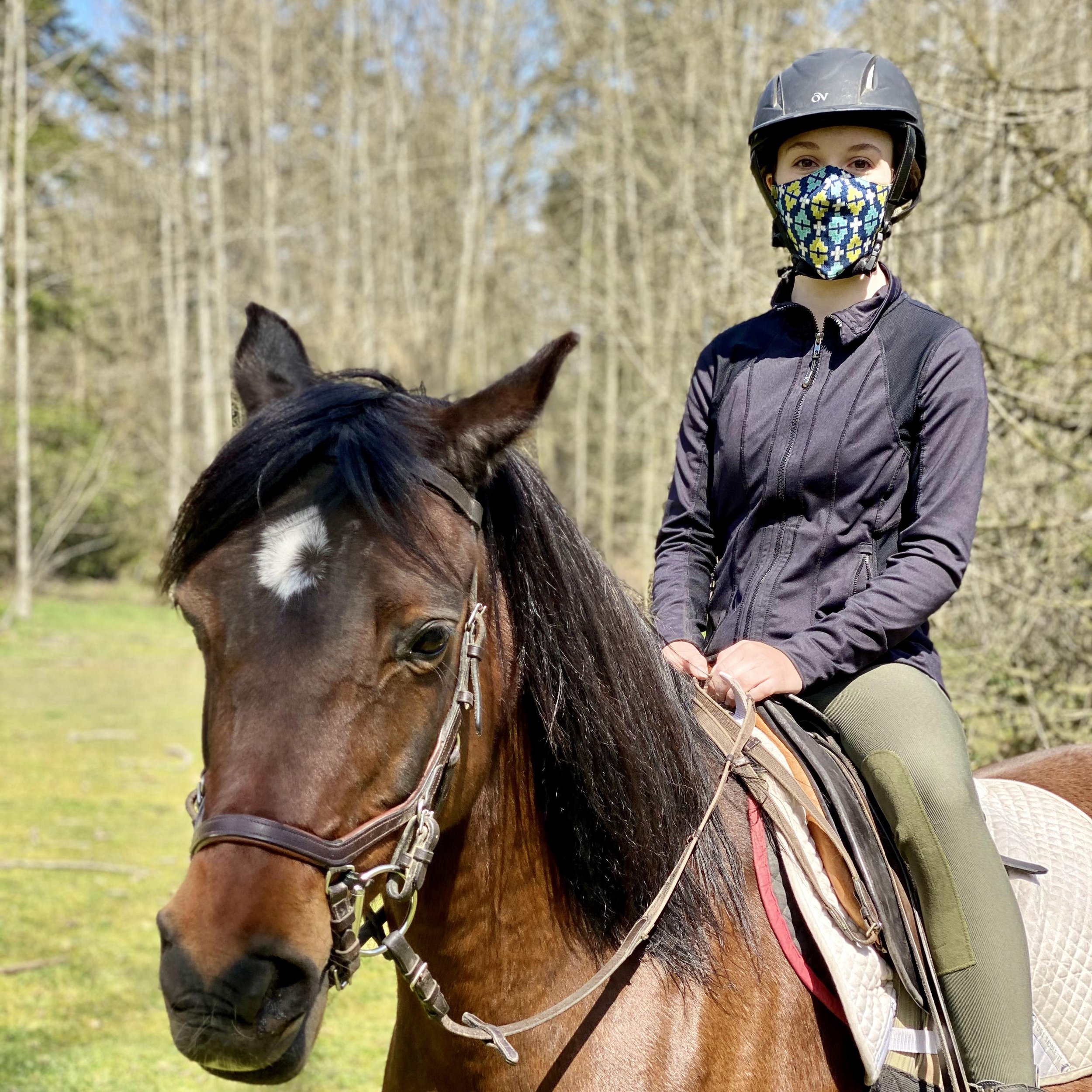 The Red Horse Farm