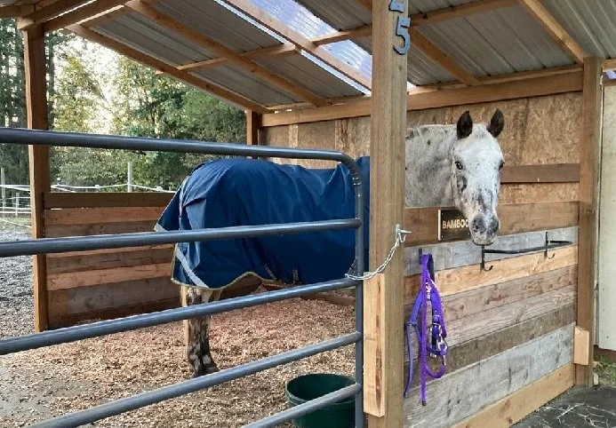 Horse Boarding — The Red Horse Farm