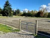 Riding Lessons — The Red Horse Farm