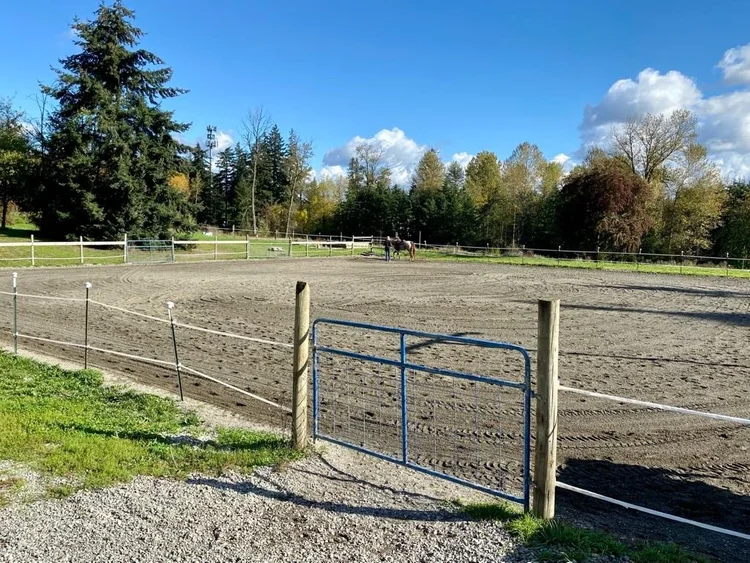 Riding Lessons — The Red Horse Farm
