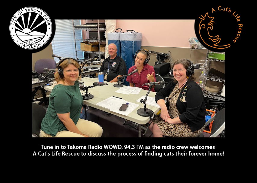 ACLR on the Radio! — A Cat's Life Rescue