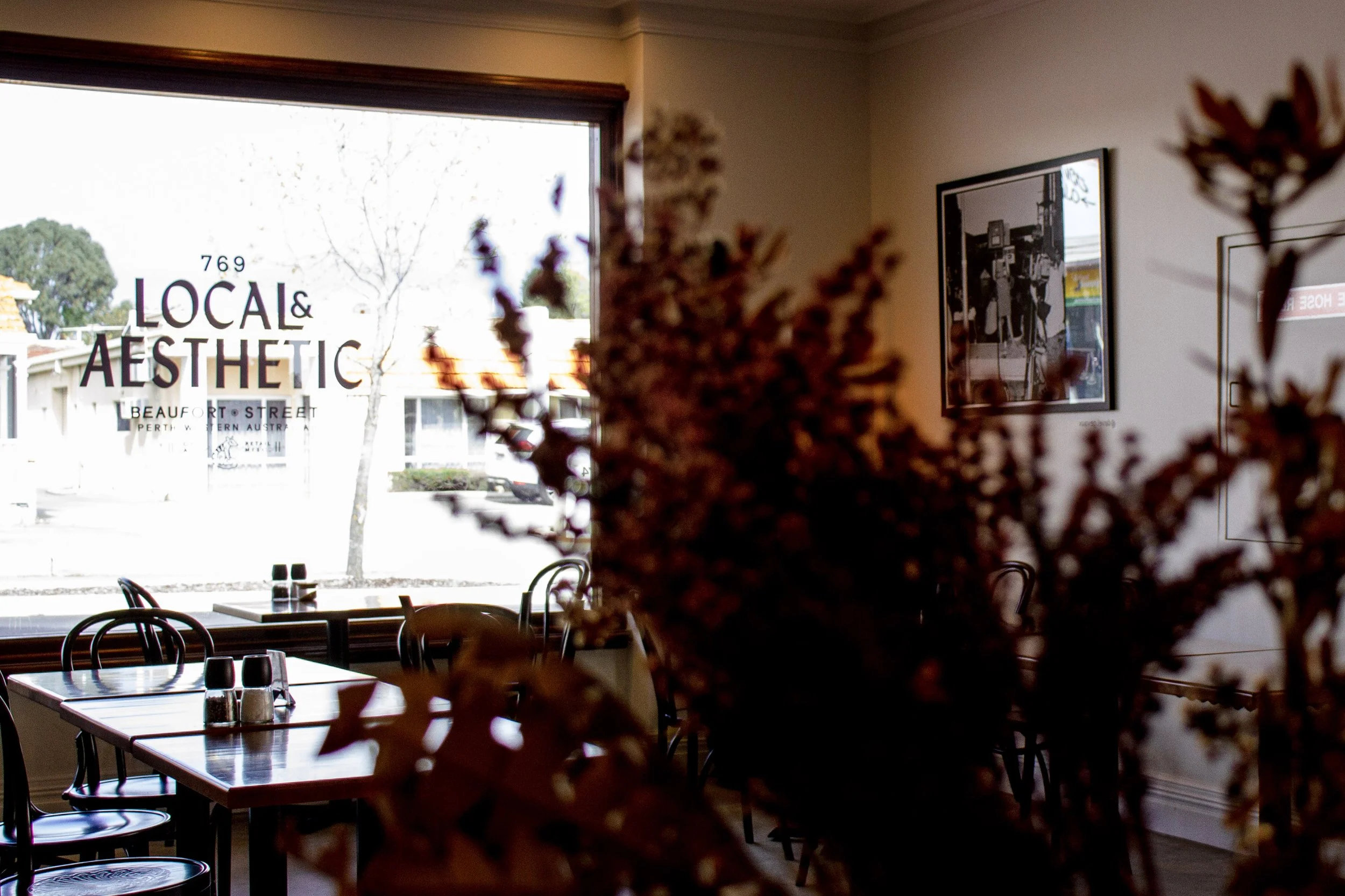 GIFT CARDS — Local & Aesthetic