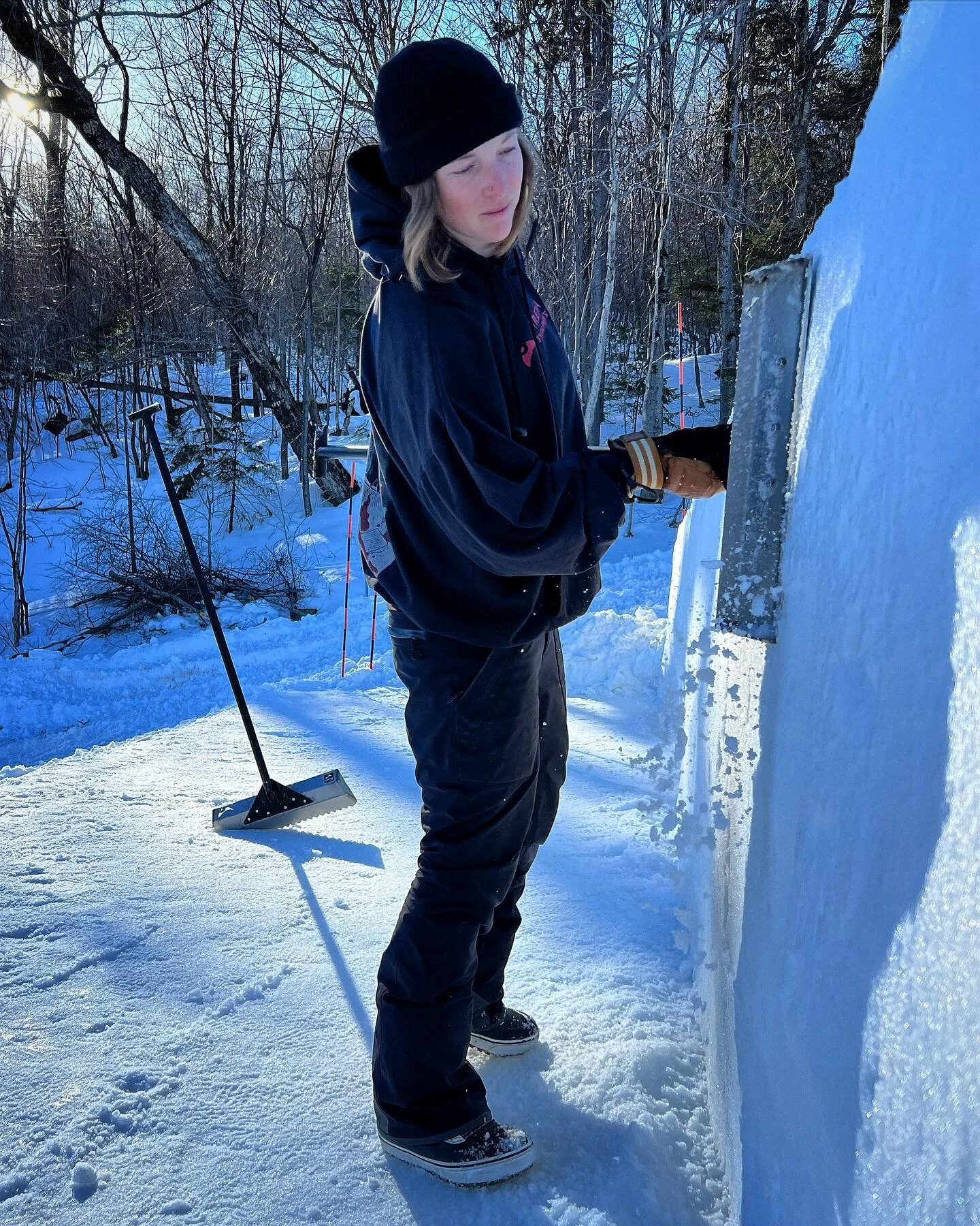 Builder Rake — Arena Snowparks