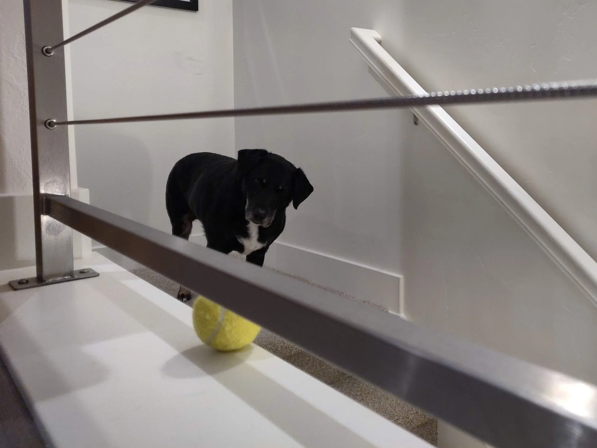 Writing Resources — Rabbit with a Red Pen