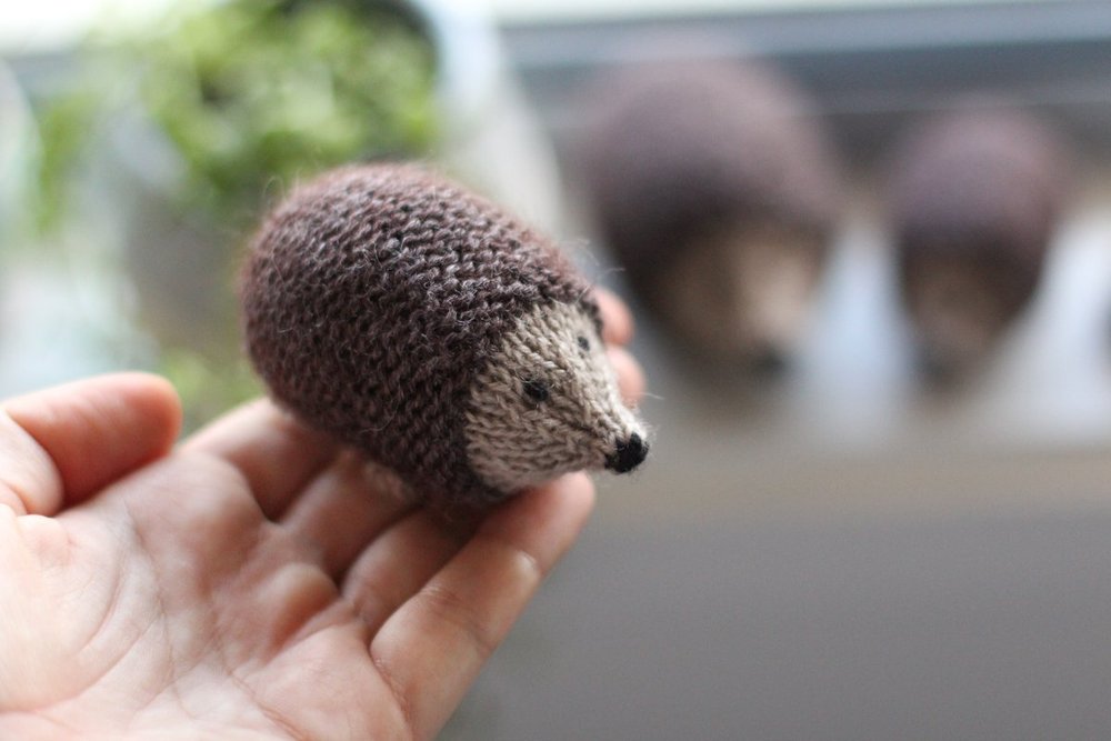 Knitting Hedgehogs — Say! Little Hen