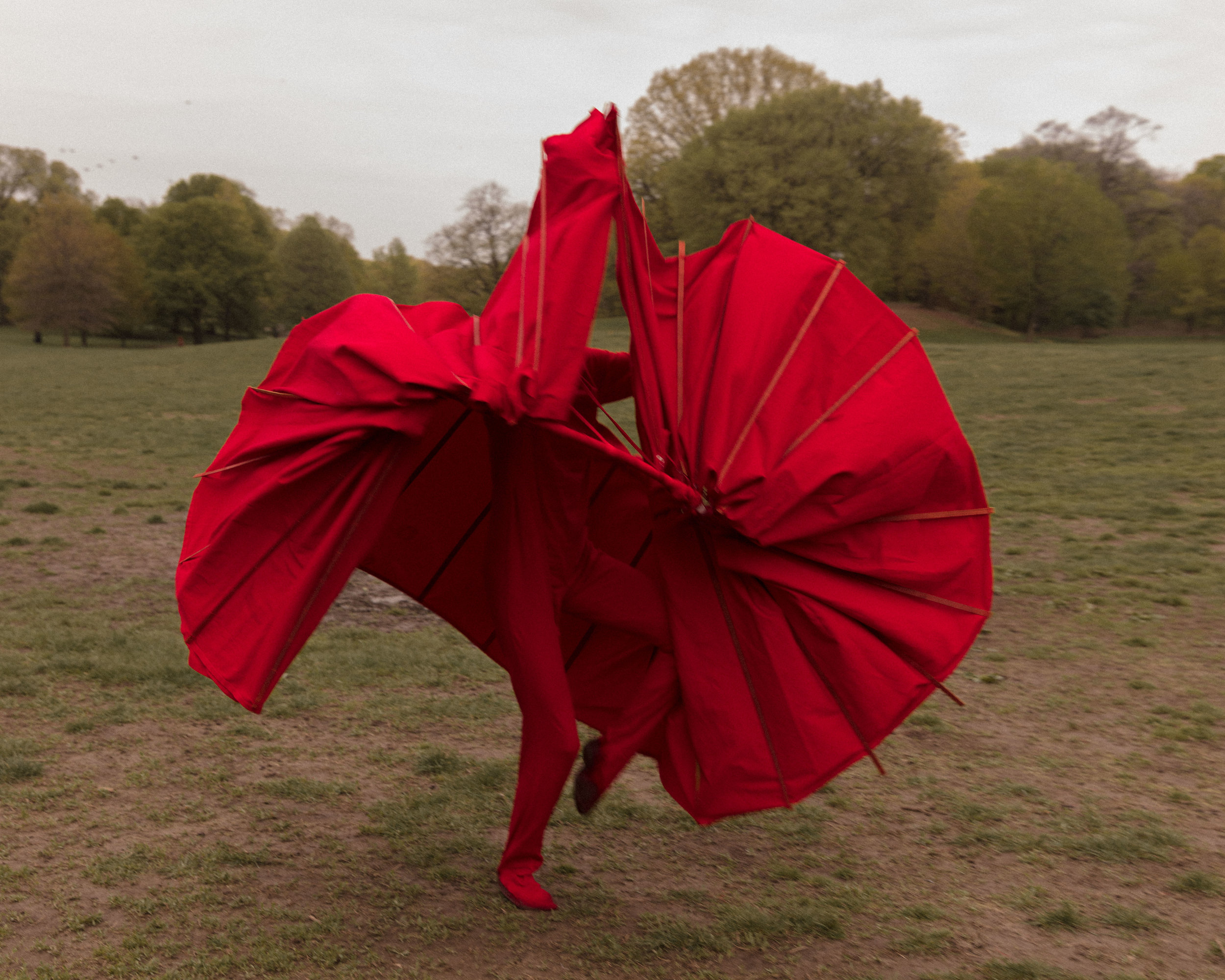 The Late Spring — Yuwei Hu