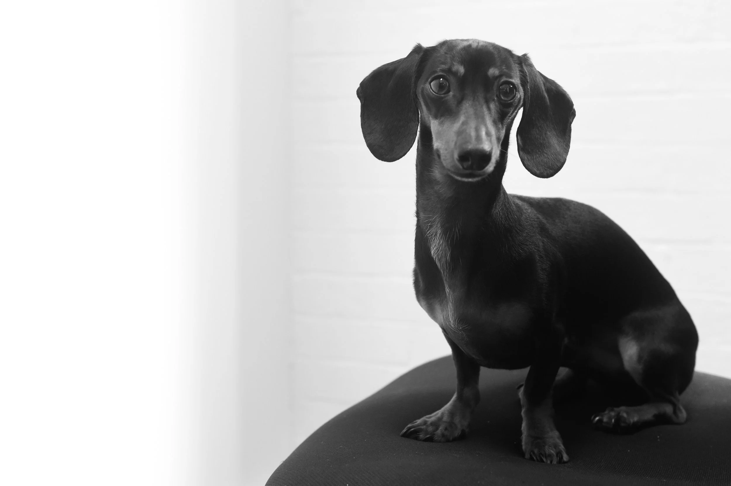 Team — BLAKE LETNIC architects