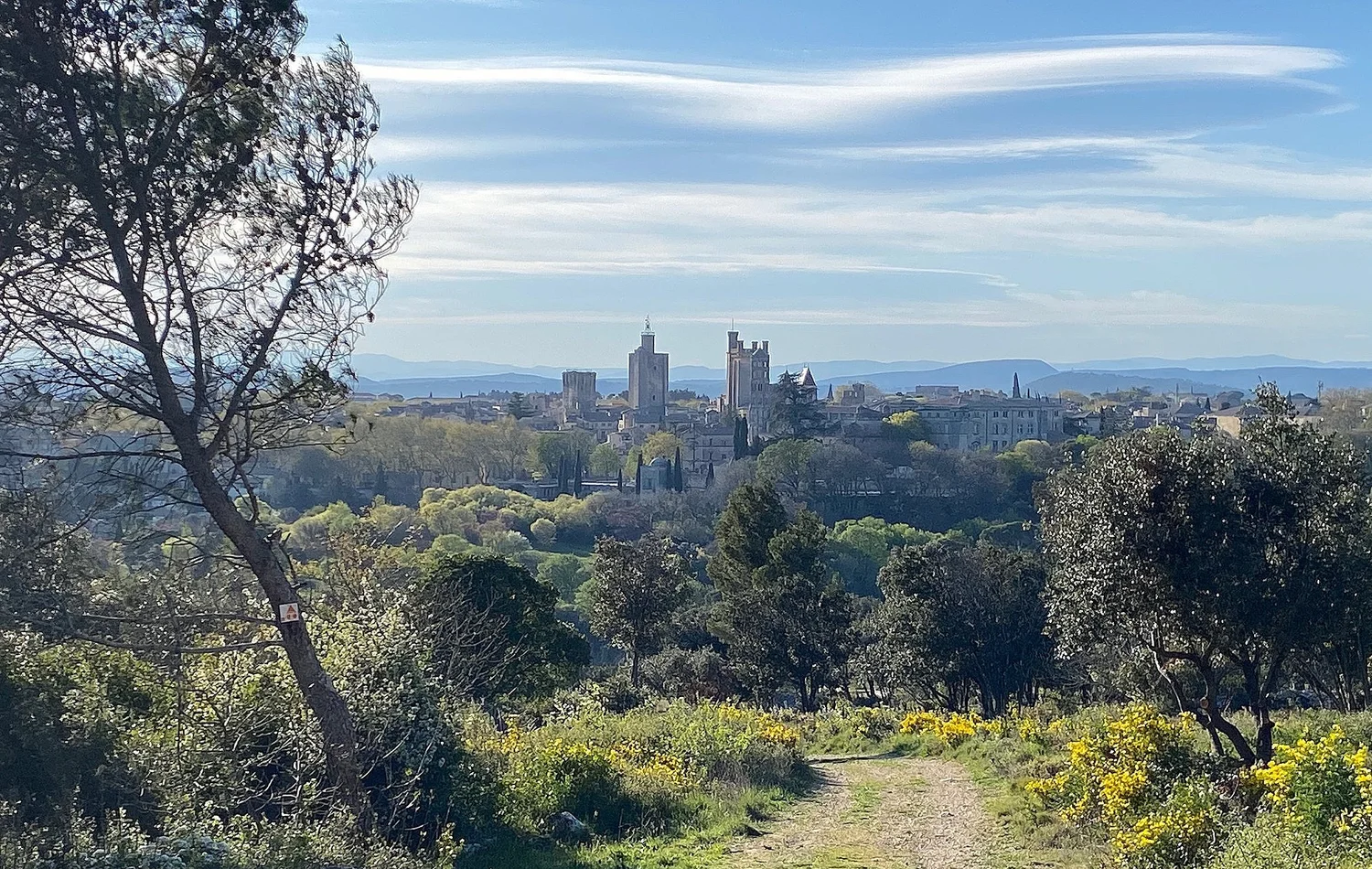 A Wine Affair - The #1 Rated Wine Tastings and Tours in Occitanie
