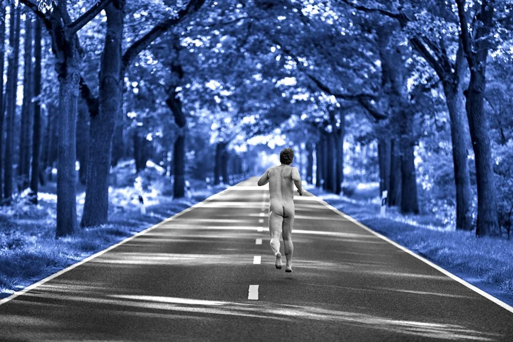 David Goltz Portfolio