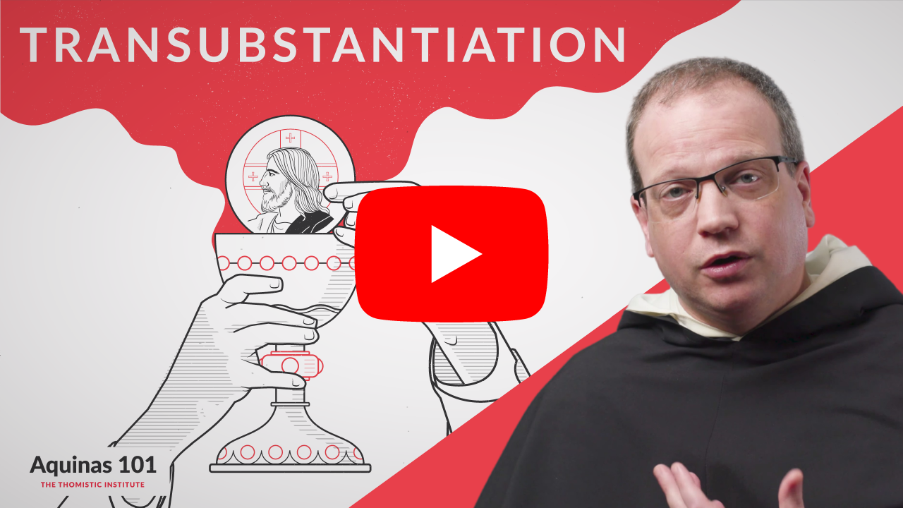 Substantial Form — Aquinas 101