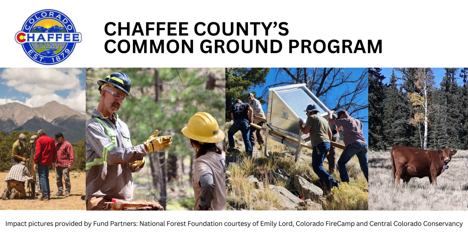 CFG — Chaffee County Community Foundation