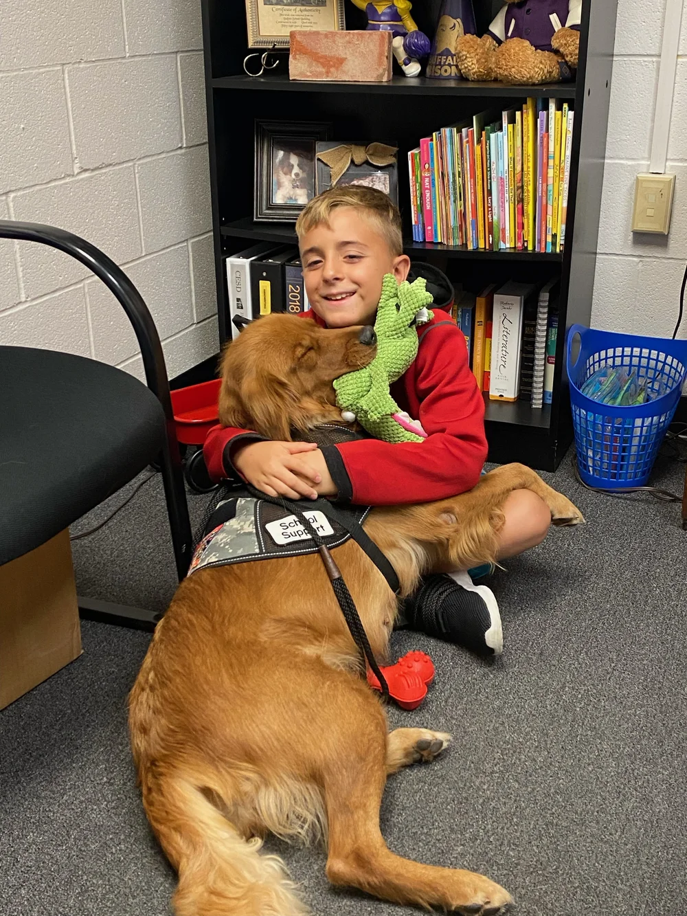 School Buddies Dogs