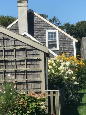 TREES OF NANTUCKET — The French Tangerine