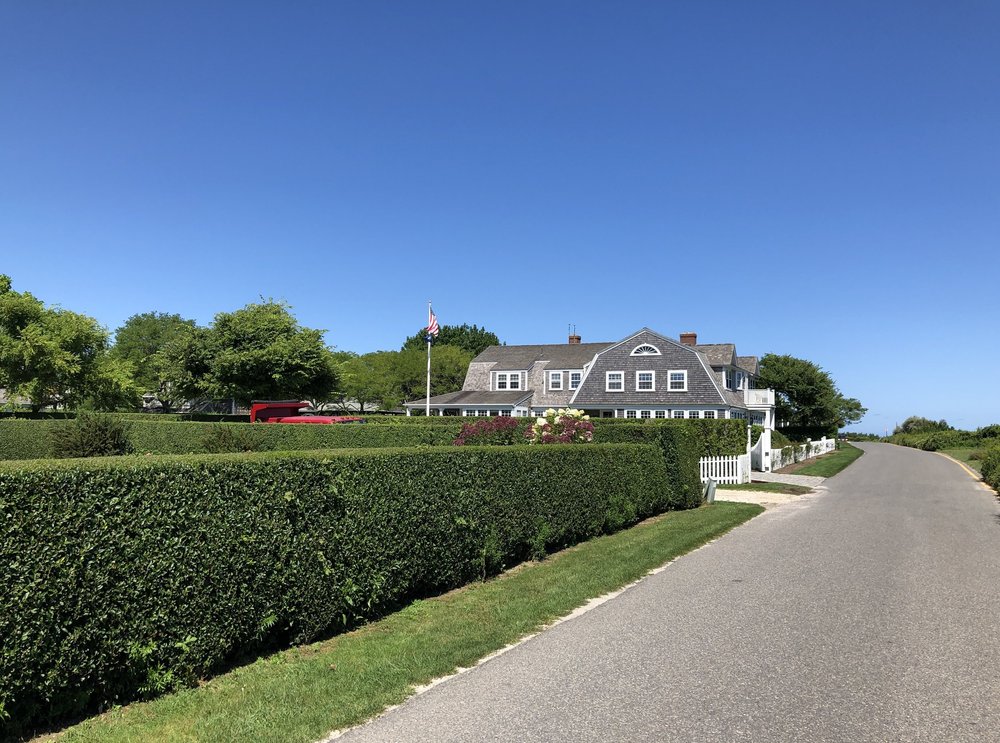 TREES OF NANTUCKET — The French Tangerine