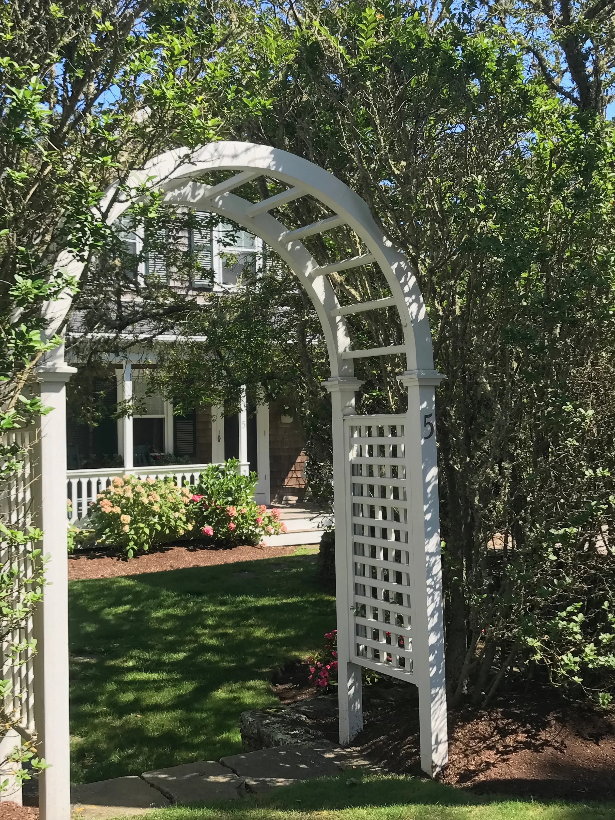 TREES OF NANTUCKET — The French Tangerine