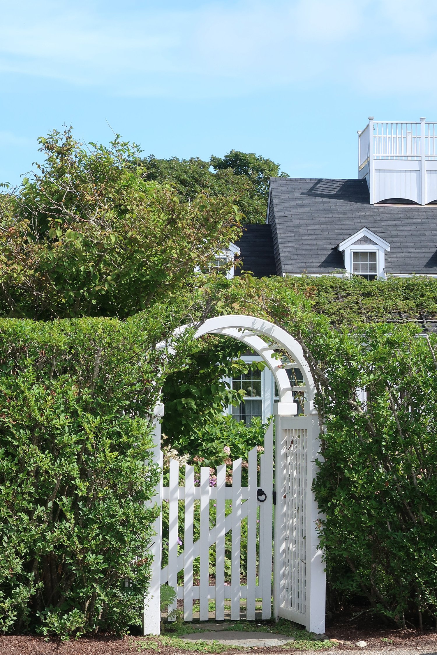 TREES OF NANTUCKET — The French Tangerine