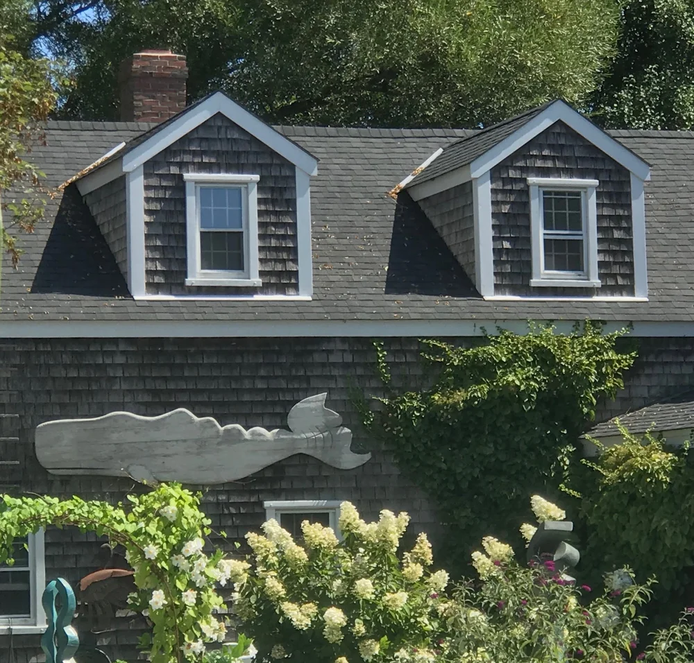 TREES OF NANTUCKET — The French Tangerine