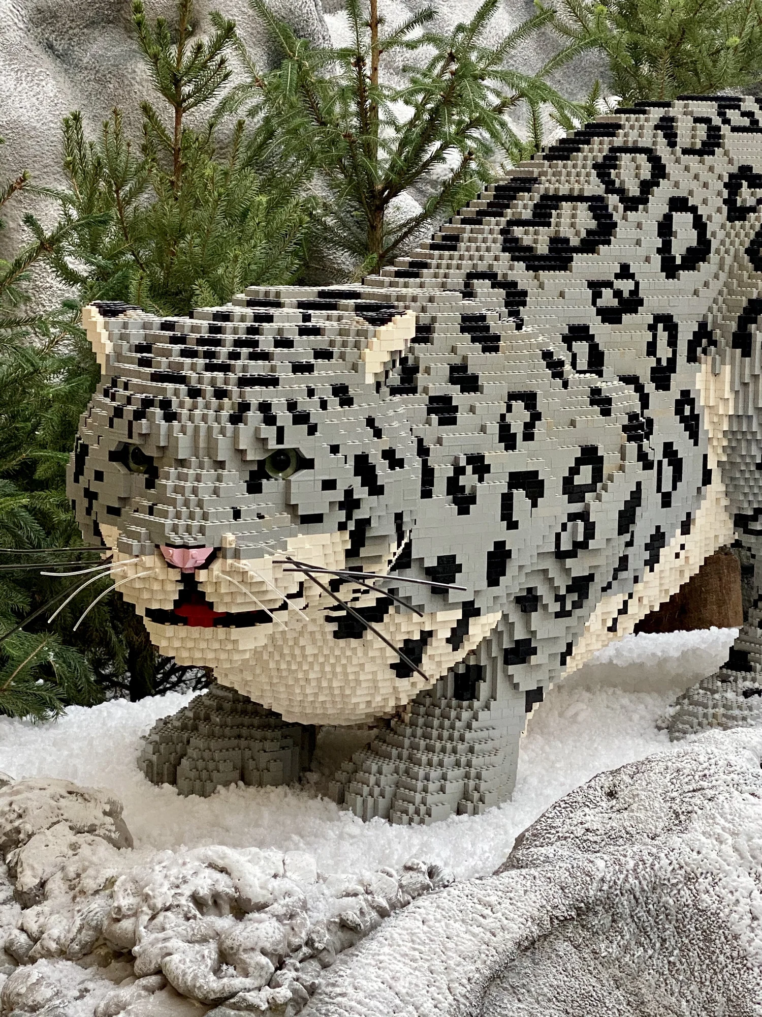 LG CONSERVATORY & MORE — The French Tangerine