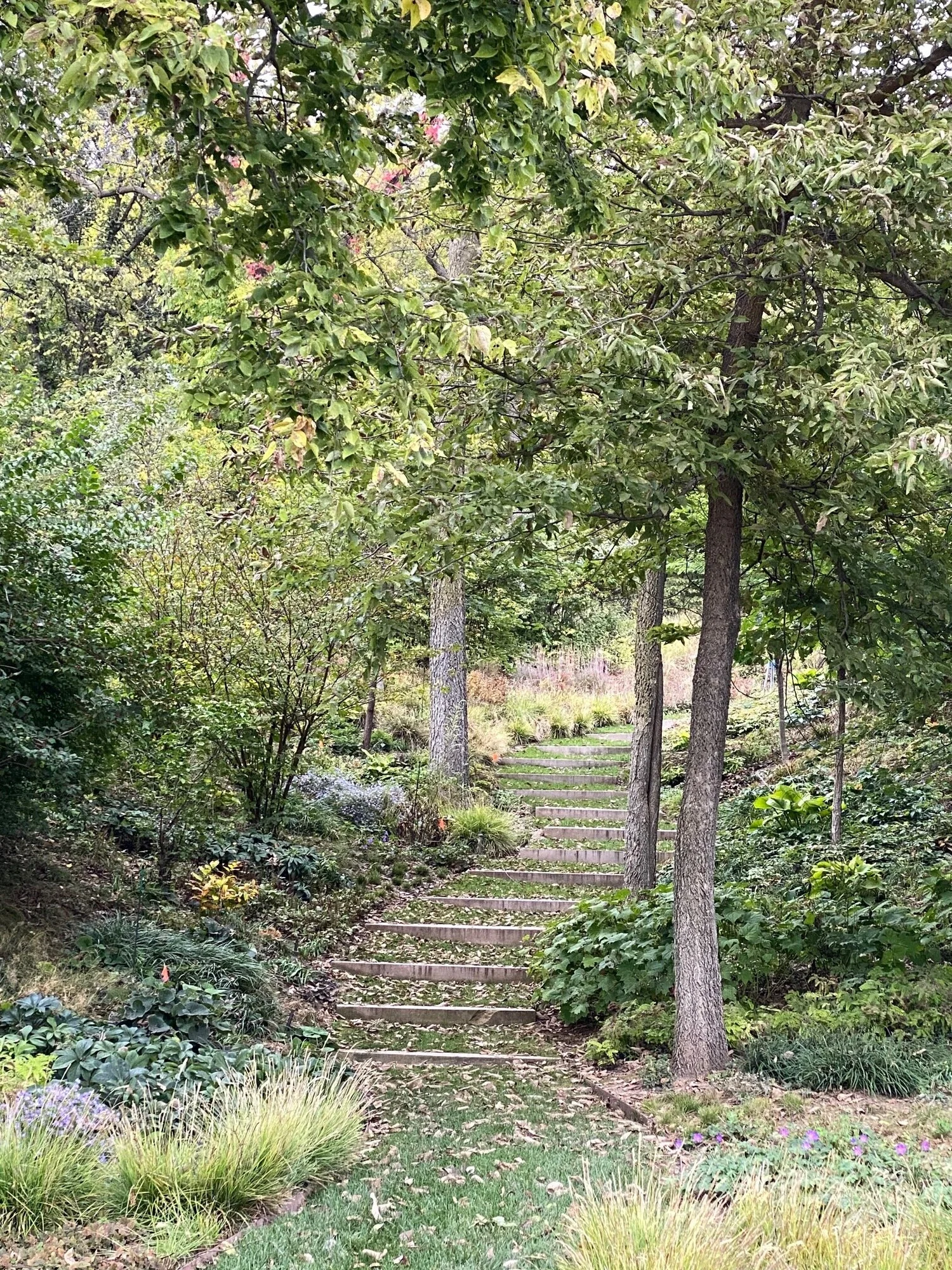 GARDEN AND ART TOUR — The French Tangerine