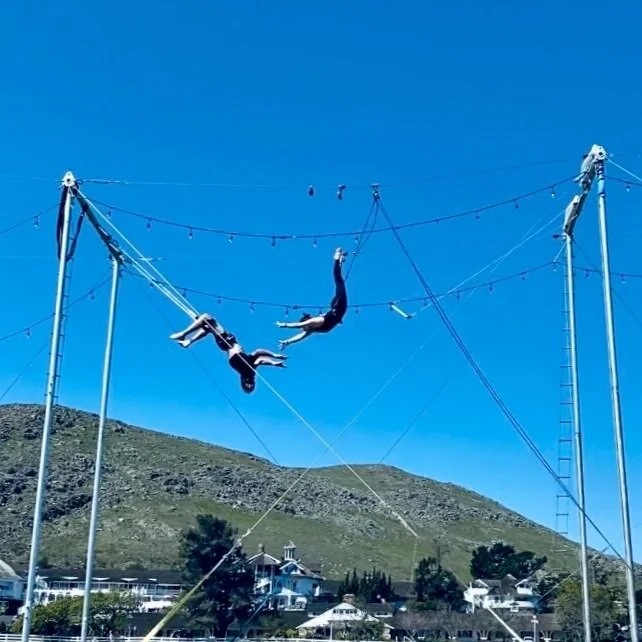 Movement — Sherry Walling, PhD
