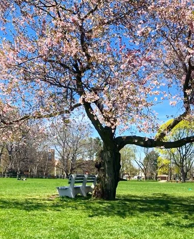 Crown Point Wood Co.