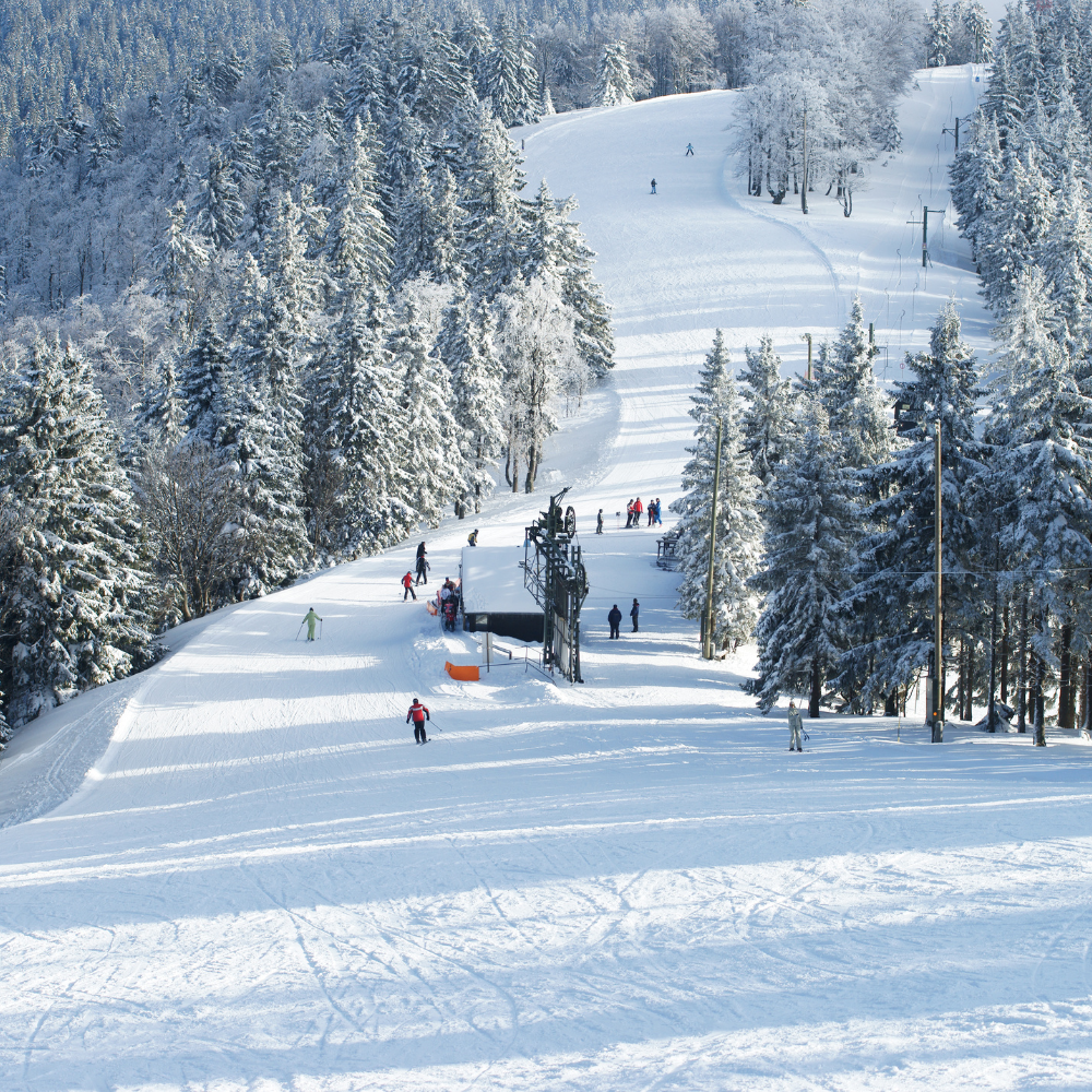 15 Unforgettable Things To Do In Bozeman Mt | PRANCIER