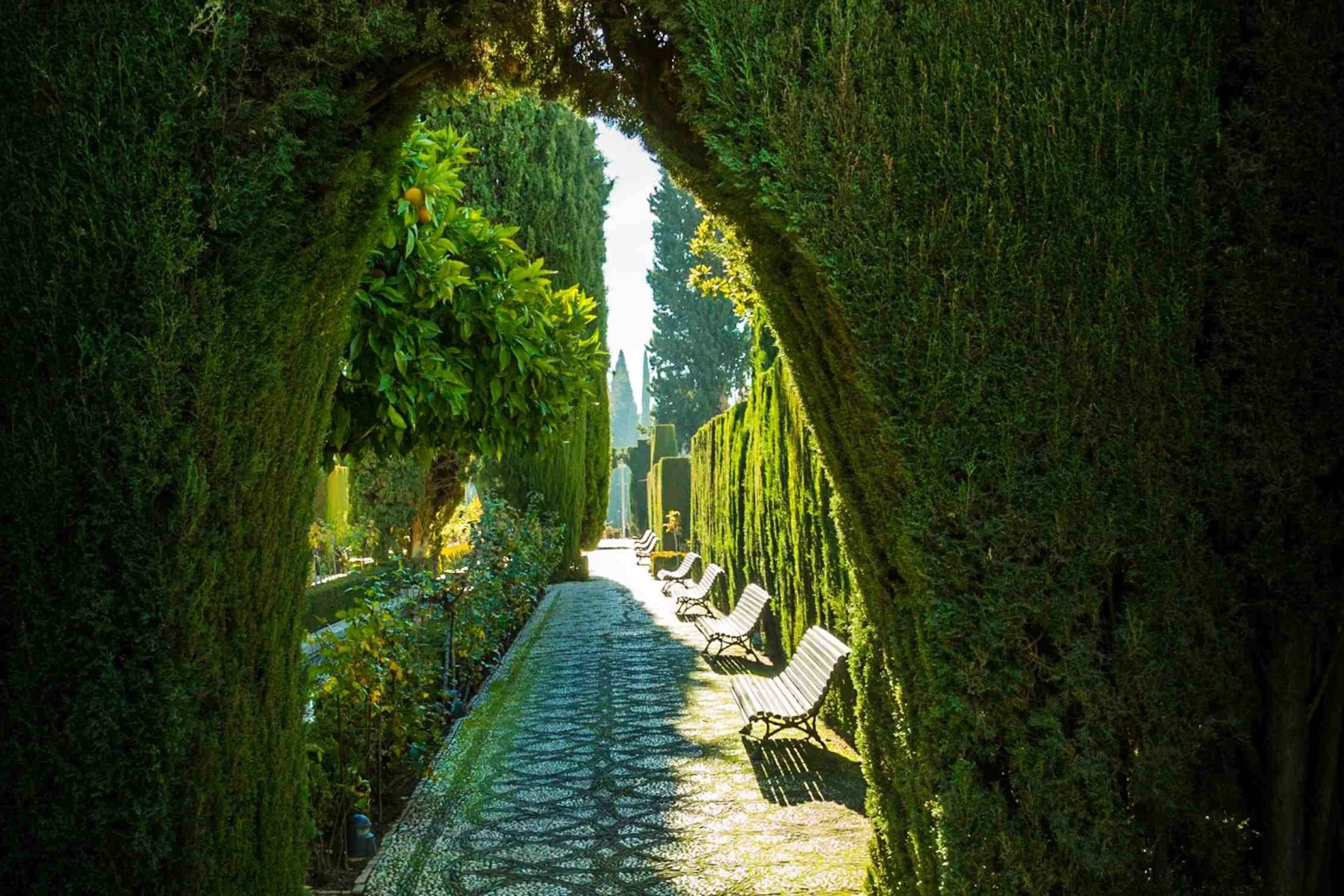 One Day In Granada Itinerary: 24 Hours in Spain | PRANCIER