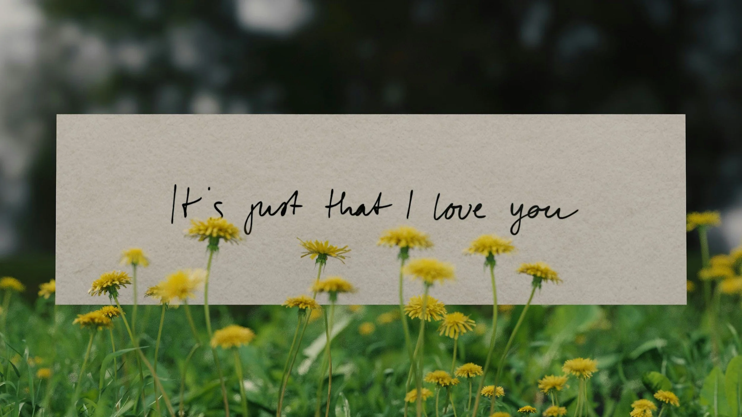 Love Quotes for Him: Romantic, Funny & Deep Words He’ll Love | PRANCIER