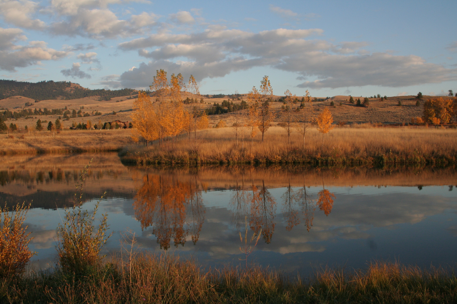 Montana in the Fall: Things to Do, Where to Go, and Best Time to Visit ...