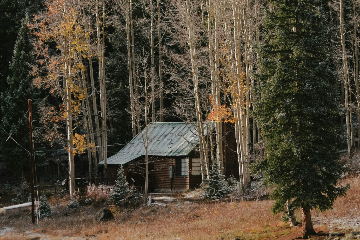 Montana in the Fall: Things to Do, Where to Go, and Best Time to Visit ...