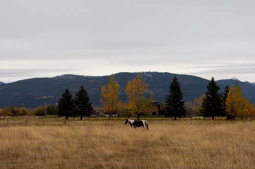 Montana in the Fall: Things to Do, Where to Go, and Best Time to Visit ...