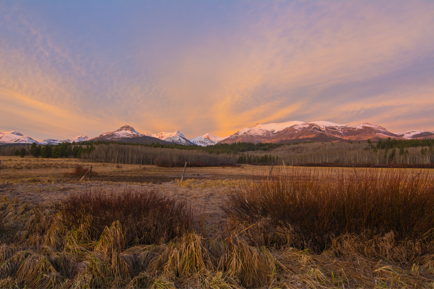 Montana in the Fall: Things to Do, Where to Go, and Best Time to Visit ...
