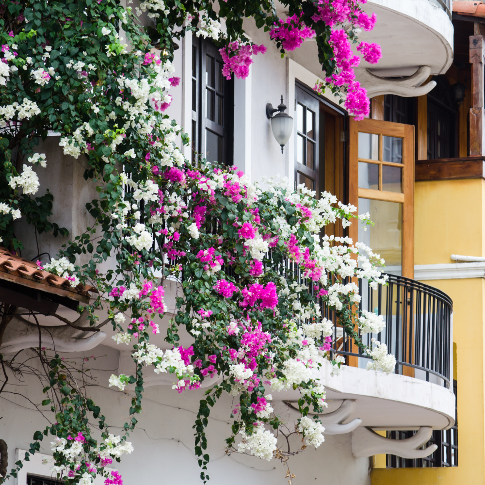 The Best Places to Travel in November | PRANCIER