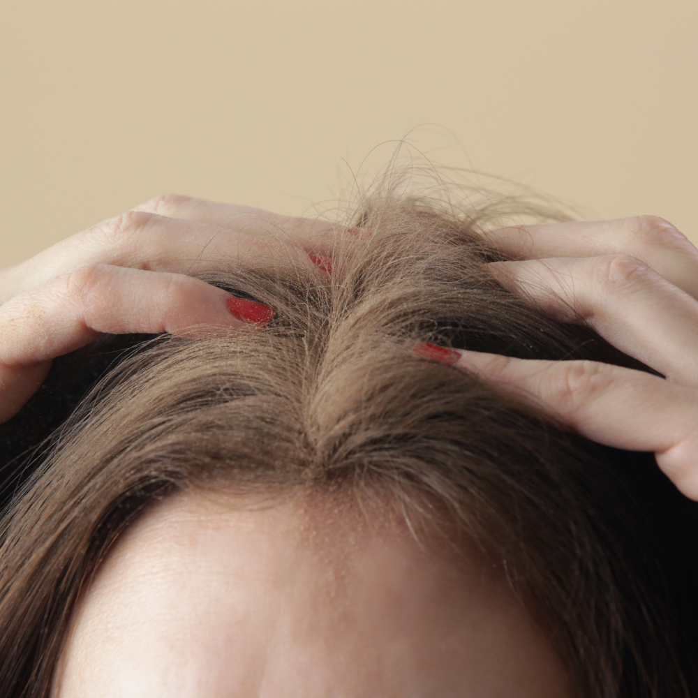 DIY Dry Shampoo: How to Make a Natural Alternative at Home | PRANCIER