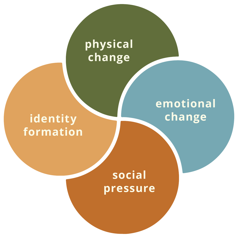 Empowering Youth: The Impact of Adolescent Therapy — Insight Northwest ...