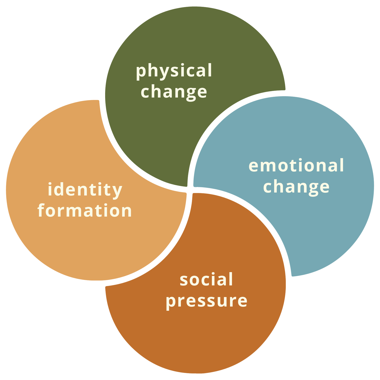 Empowering Youth: The Impact of Adolescent Therapy — Insight Northwest ...