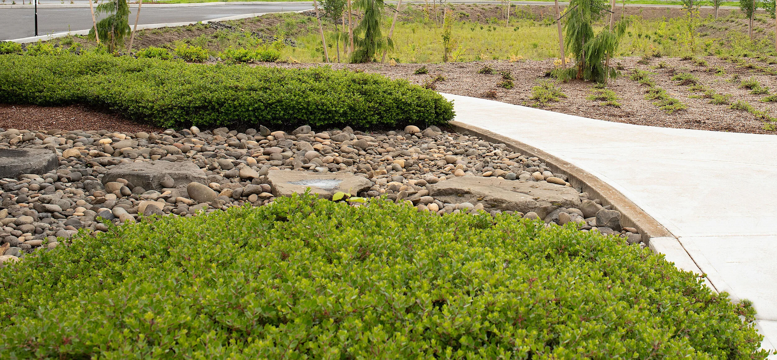 Laurus Designs, LLC.