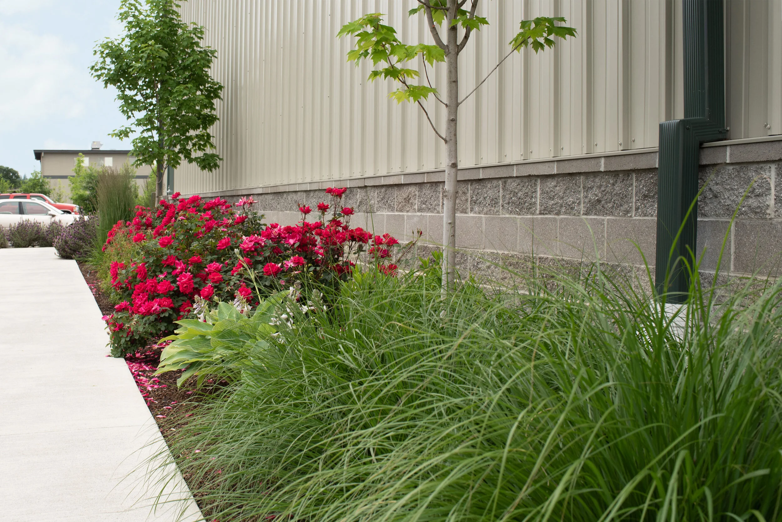 Laurus Designs, LLC.