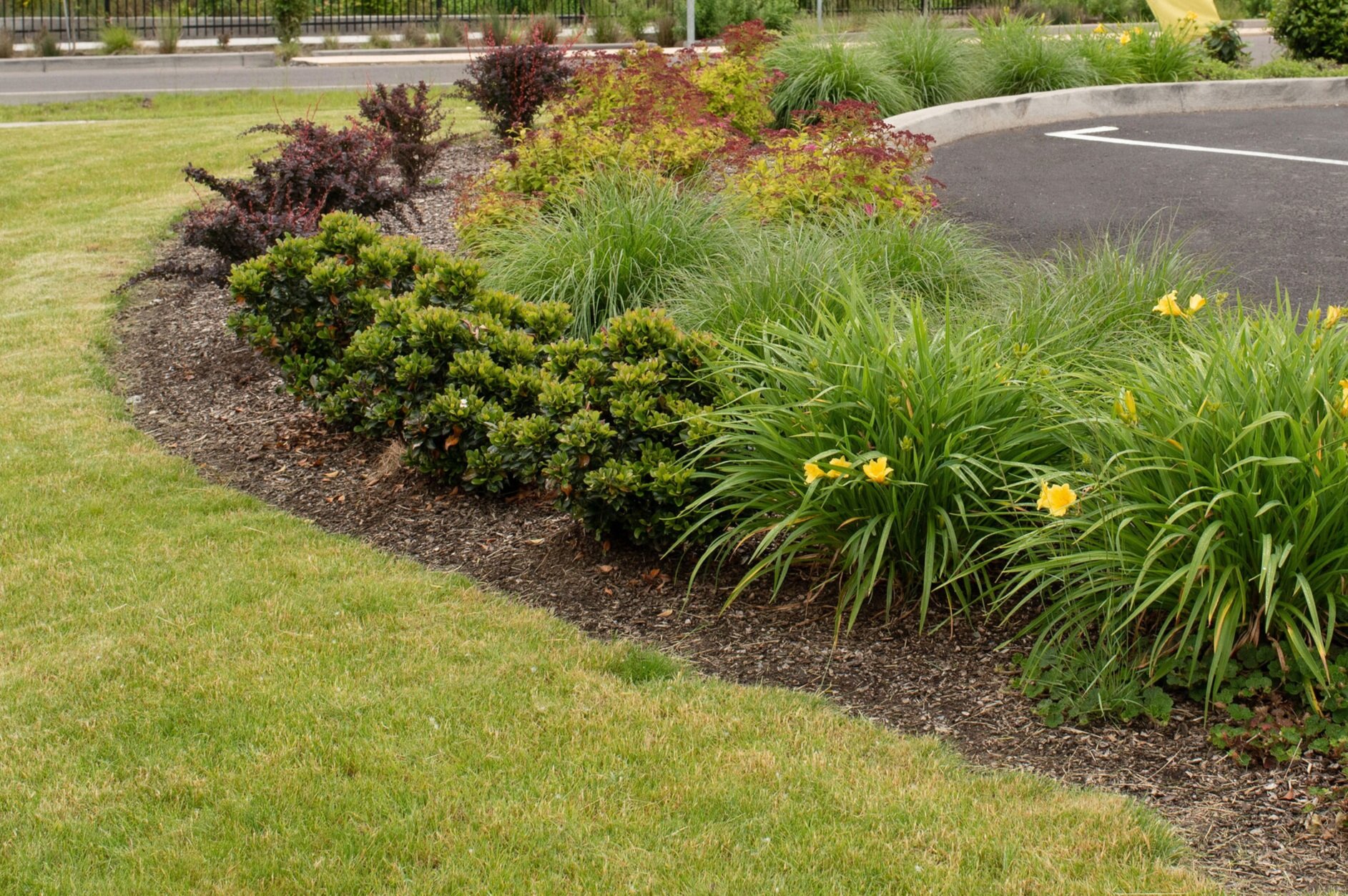 Laurus Designs, LLC.