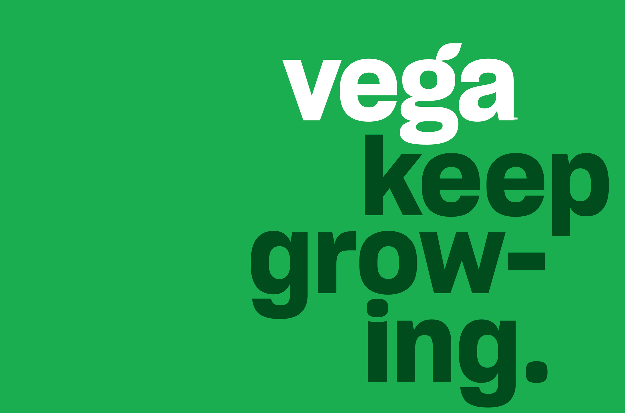 Vega Packaging Rebrand — Daniela Meneses Guerrero