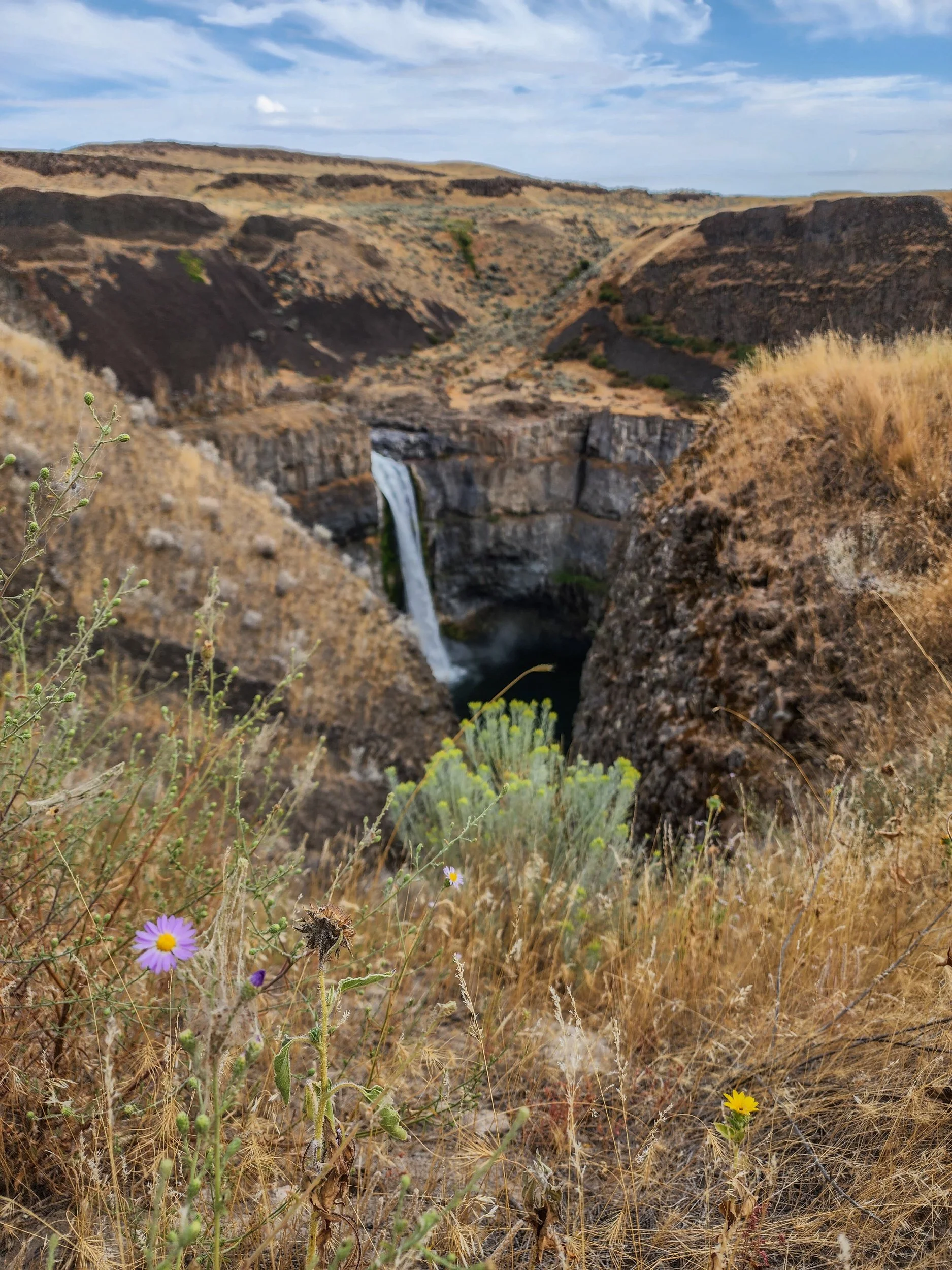 Recent photographs by Elliott Robinson — elliott robinson images: