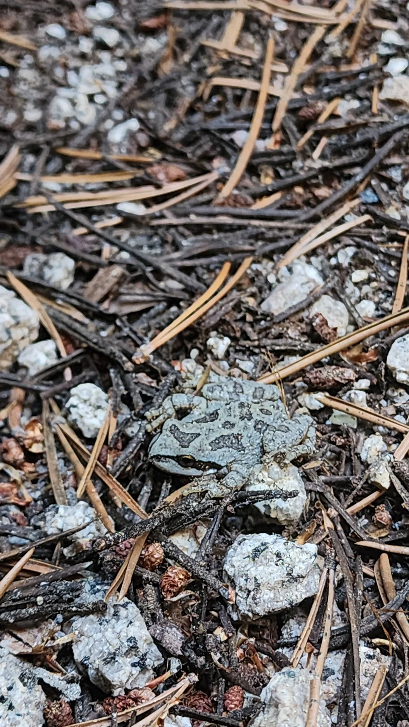 Recent photographs by Elliott Robinson — elliott robinson images