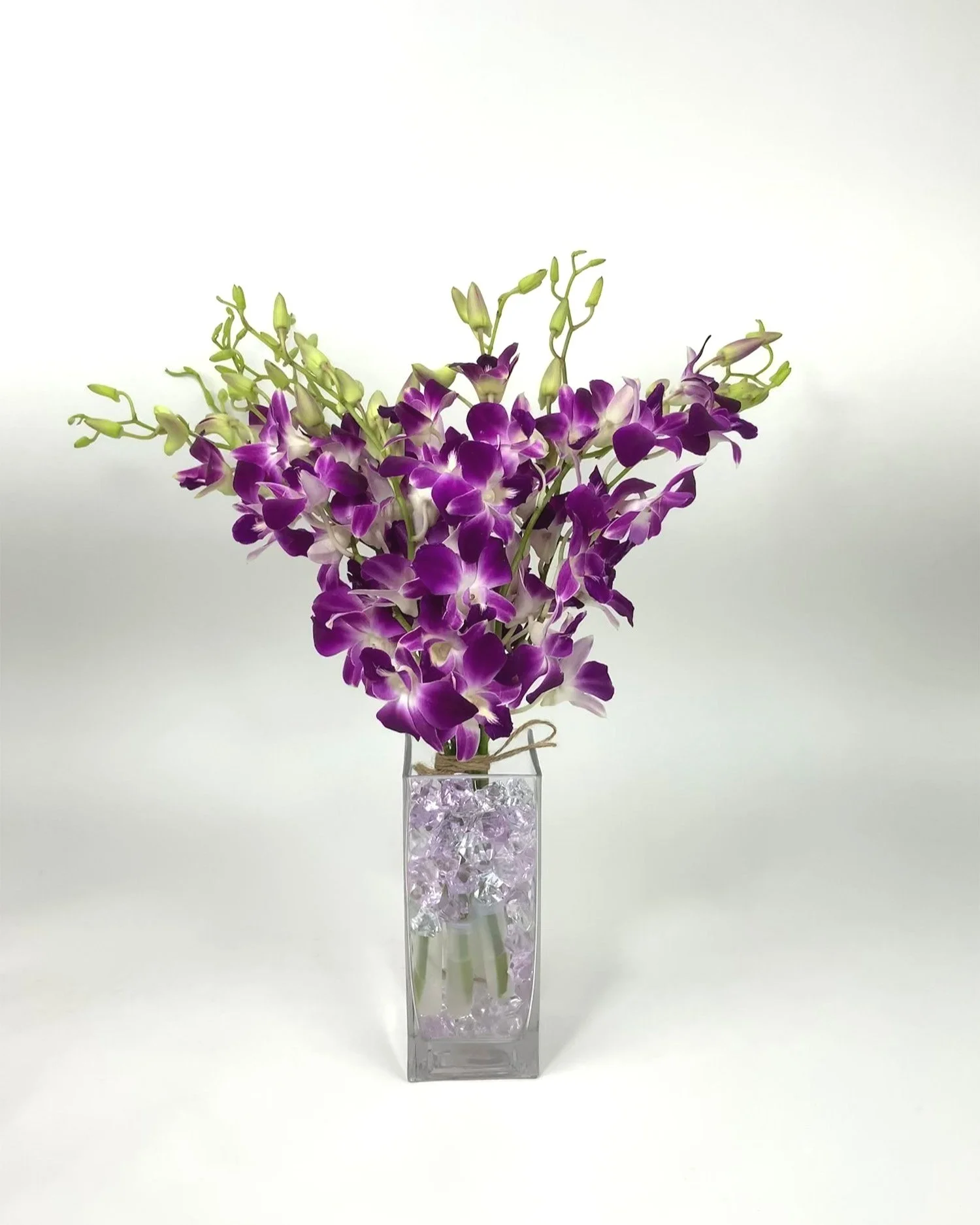 Cut Orchids — Northwest Orchids