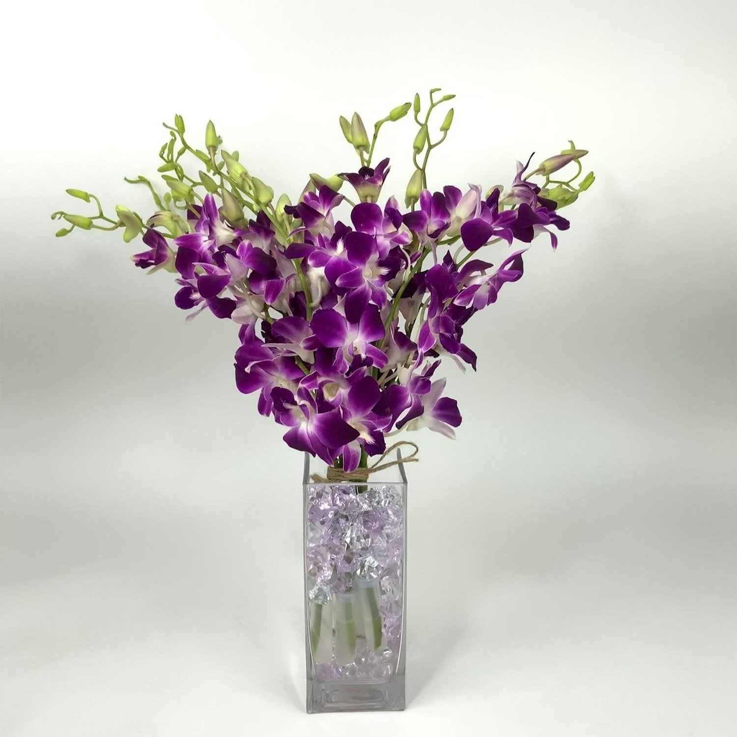 Plant Care Instructions — Northwest Orchids