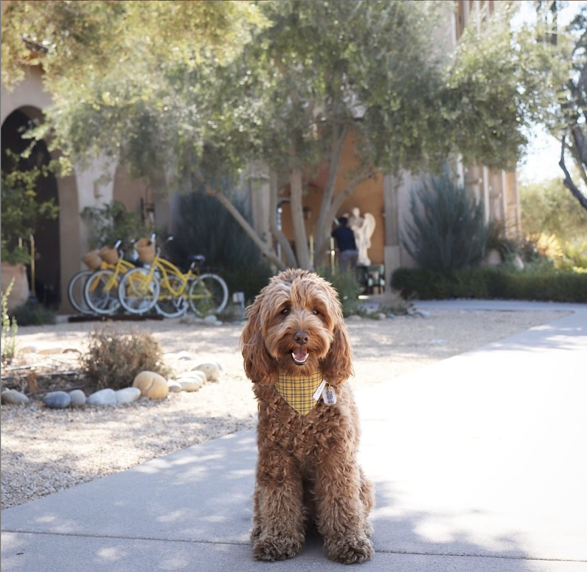 About — HELLO RUBY DOODLE